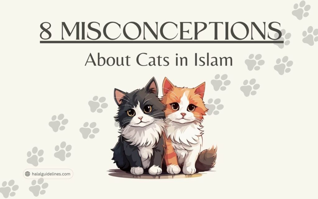 Are Cats Haram or Halal as a Pet in Islam? Complete Guide 2025 - Halal ...