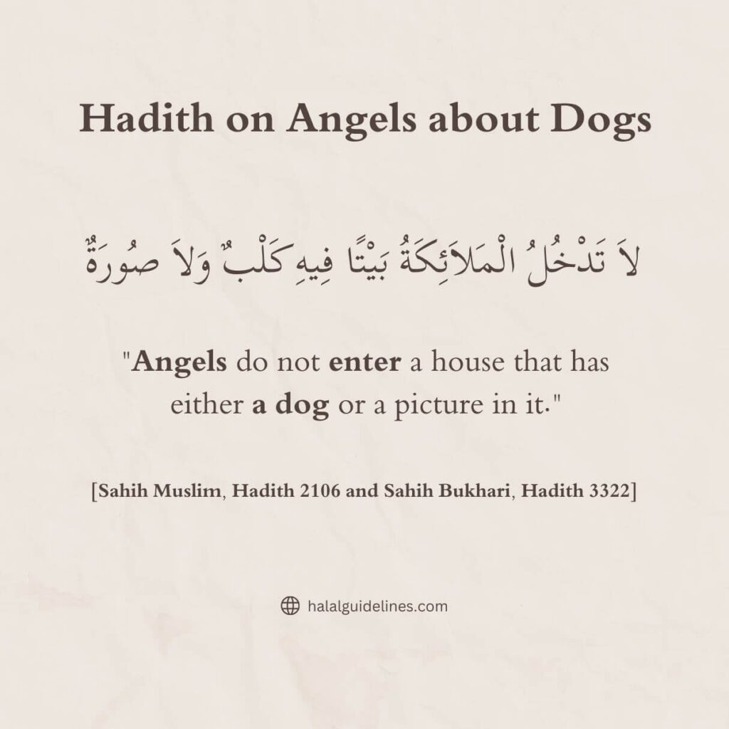 Are Dogs Haram as a Pet in the House? (Explained 2025) - Halal Guidelines