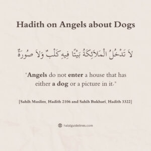 Are Dogs Haram as a Pet in the House? (Explained 2025) - Halal Guidelines