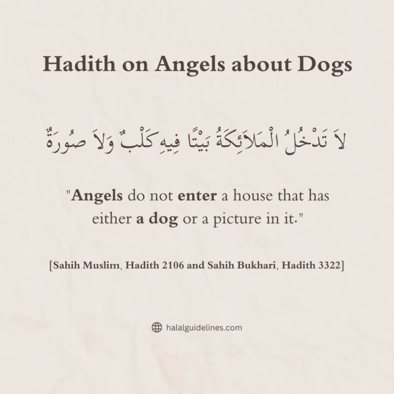 List of 15 Haram Pets Not Allowed in Islam - Halal Guidelines