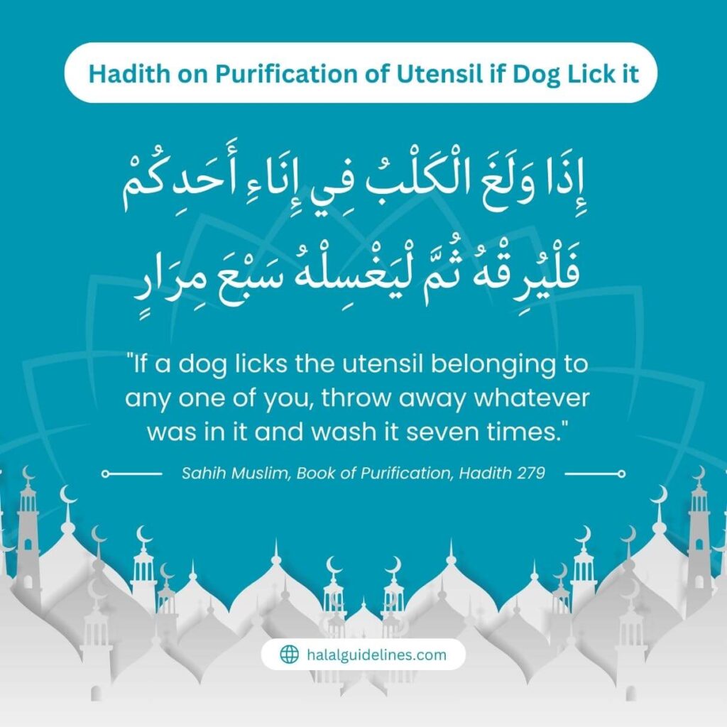 Are Dogs Haram as a Pet in the House? (Explained 2025) - Halal Guidelines