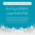 Are Dogs Haram as a Pet in the House? (Explained 2025) - Halal Guidelines