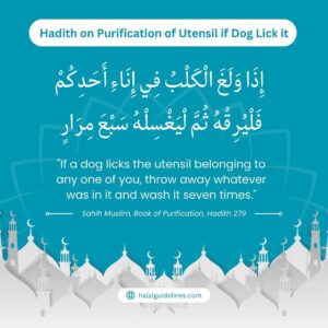 Are Dogs Haram as a Pet in the House? (Explained 2025) - Halal Guidelines