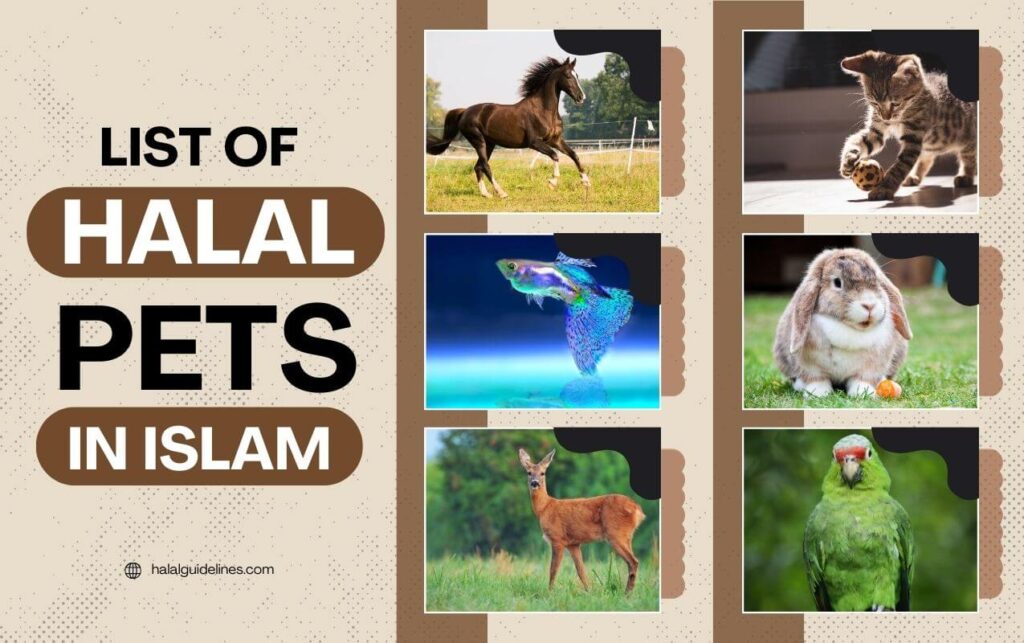 List of 20 Halal Pets in Islam (Find Out Now) - Halal Guidelines
