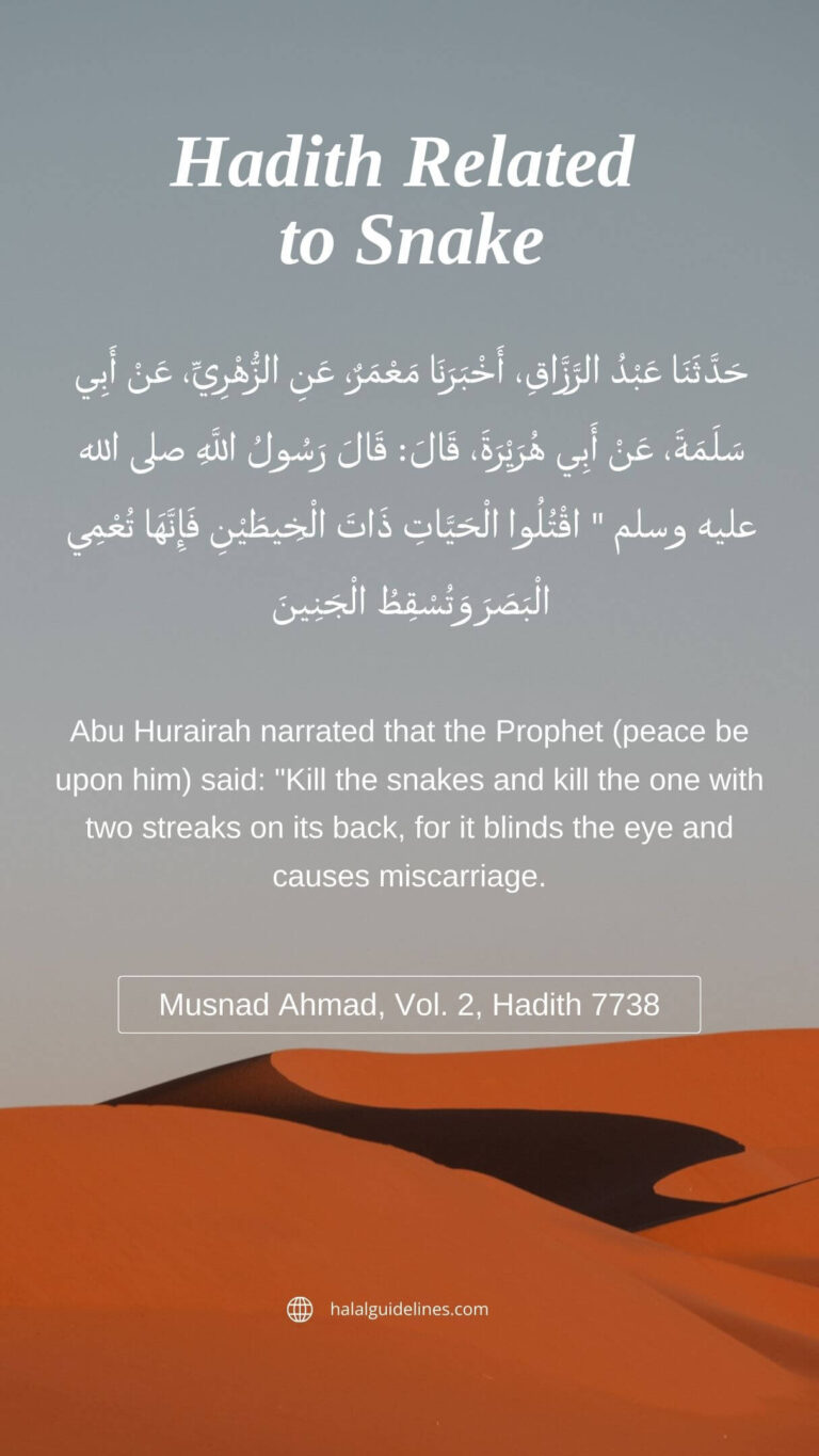 Are Snakes Haram Or Halal to Keep as Pets in Islam? Clear Answer ...