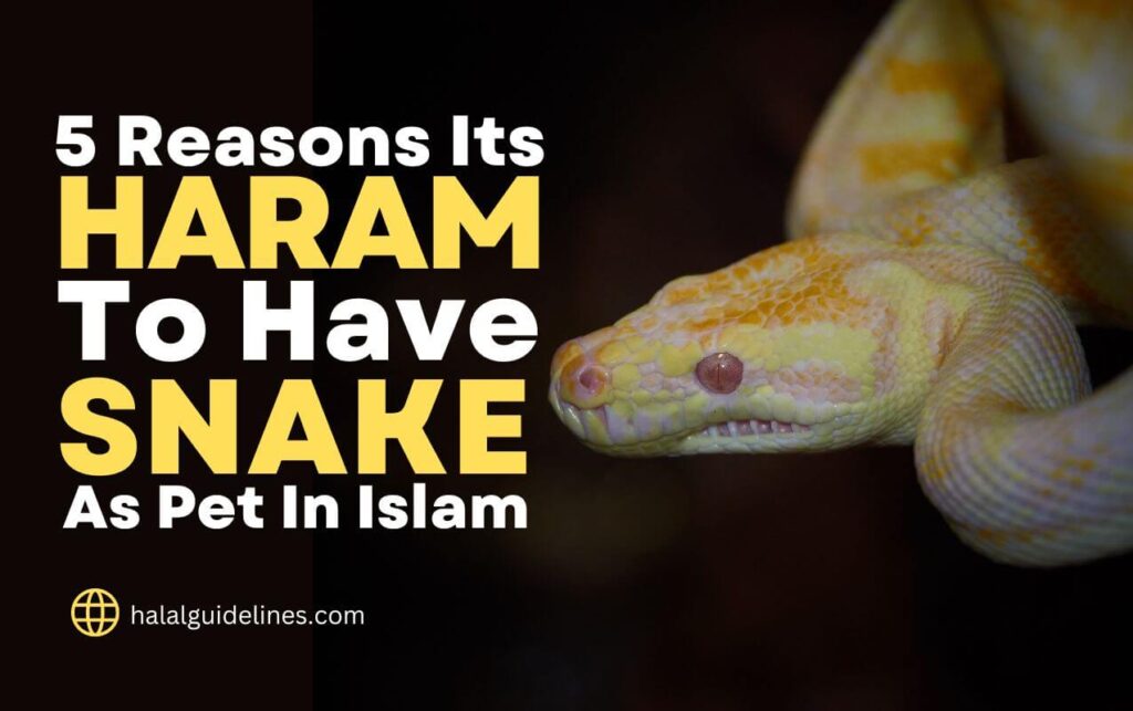 Are Snakes Haram Or Halal to Keep as Pets in Islam? Clear Answer ...
