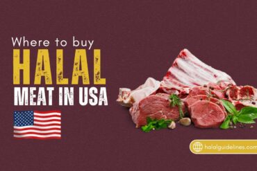 Halal Ice Cream Brands List in USA 2025 - Halal Guidelines