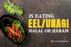 List of 20 Halal Pets in Islam (Find Out Now) - Halal Guidelines