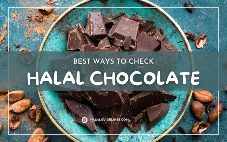Is Mr Beast Feastables Chocolate Halal Or Haram To Eat? - Halal Guidelines