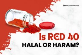 List of Haram E-Codes in the USA (100% Confirmed) - Halal Guidelines
