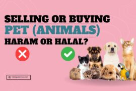 List of 20 Halal Pets in Islam (Find Out Now) - Halal Guidelines