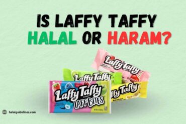 List of All Haram Foods in Islam (Every Muslim Should Avoid) - Halal Guidelines