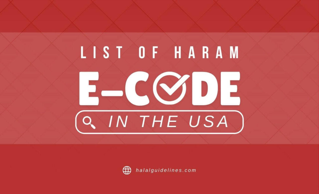 List of Haram E-Codes in the USA (100% Confirmed) - Halal Guidelines