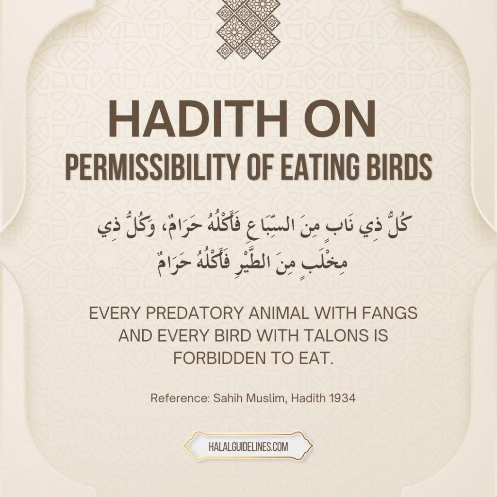 Is Eating Ostrich Halal Or Haram For Muslims in Islam? - Halal Guidelines