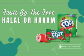 List of Haram E-Codes in the USA (100% Confirmed) - Halal Guidelines