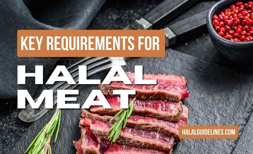 What Is Halal Meat in Islam? Everything You Need to Know - Halal Guidelines