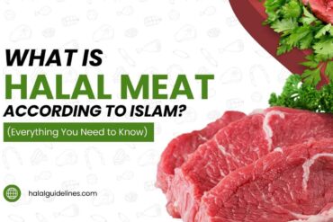 List of All Haram Foods in Islam (Every Muslim Should Avoid) - Halal Guidelines