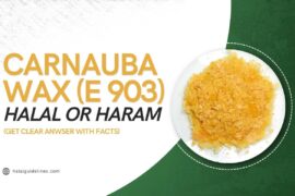 List of All Haram Foods in Islam (Every Muslim Should Avoid) - Halal Guidelines