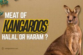 List of All Haram Foods in Islam (Every Muslim Should Avoid) - Halal Guidelines